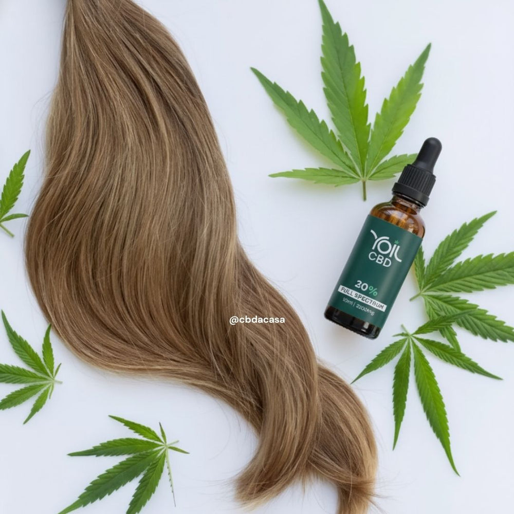 Comprar CBD de calidad a precio de CBD barato