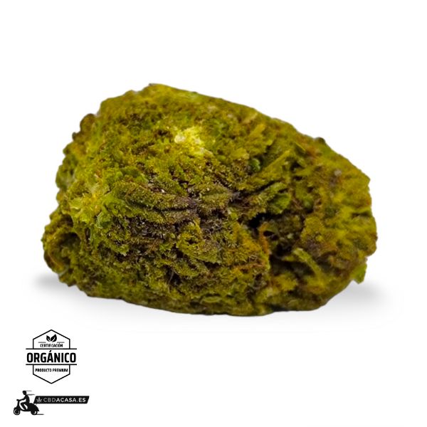 Flor CBD Premium Amnesia Frozen Dry indoor