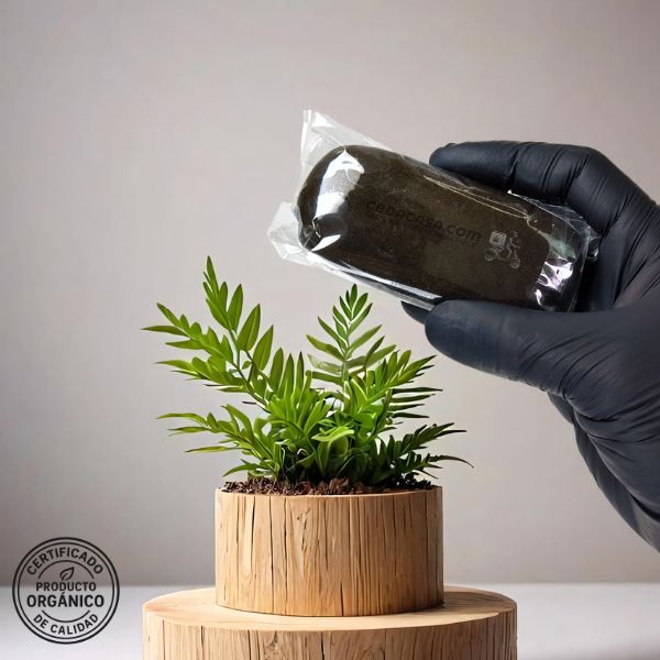 Charas CBD barato online desde 1,35€